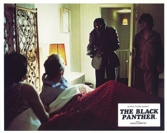 La Panthère noire de Ian Merrick - Olivier Père